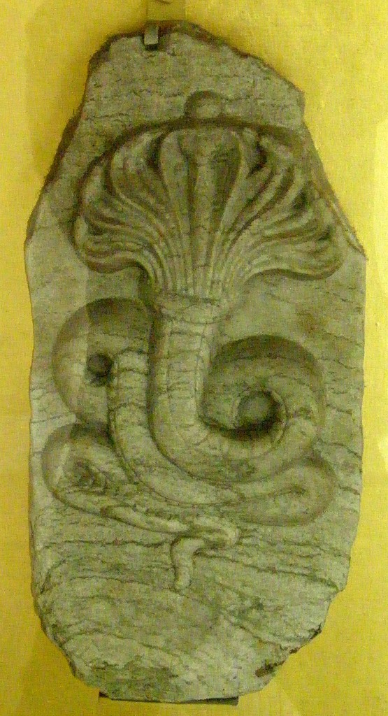 Snake | dreamhawk.com