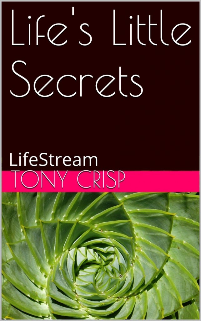 My Books | dreamhawk.com